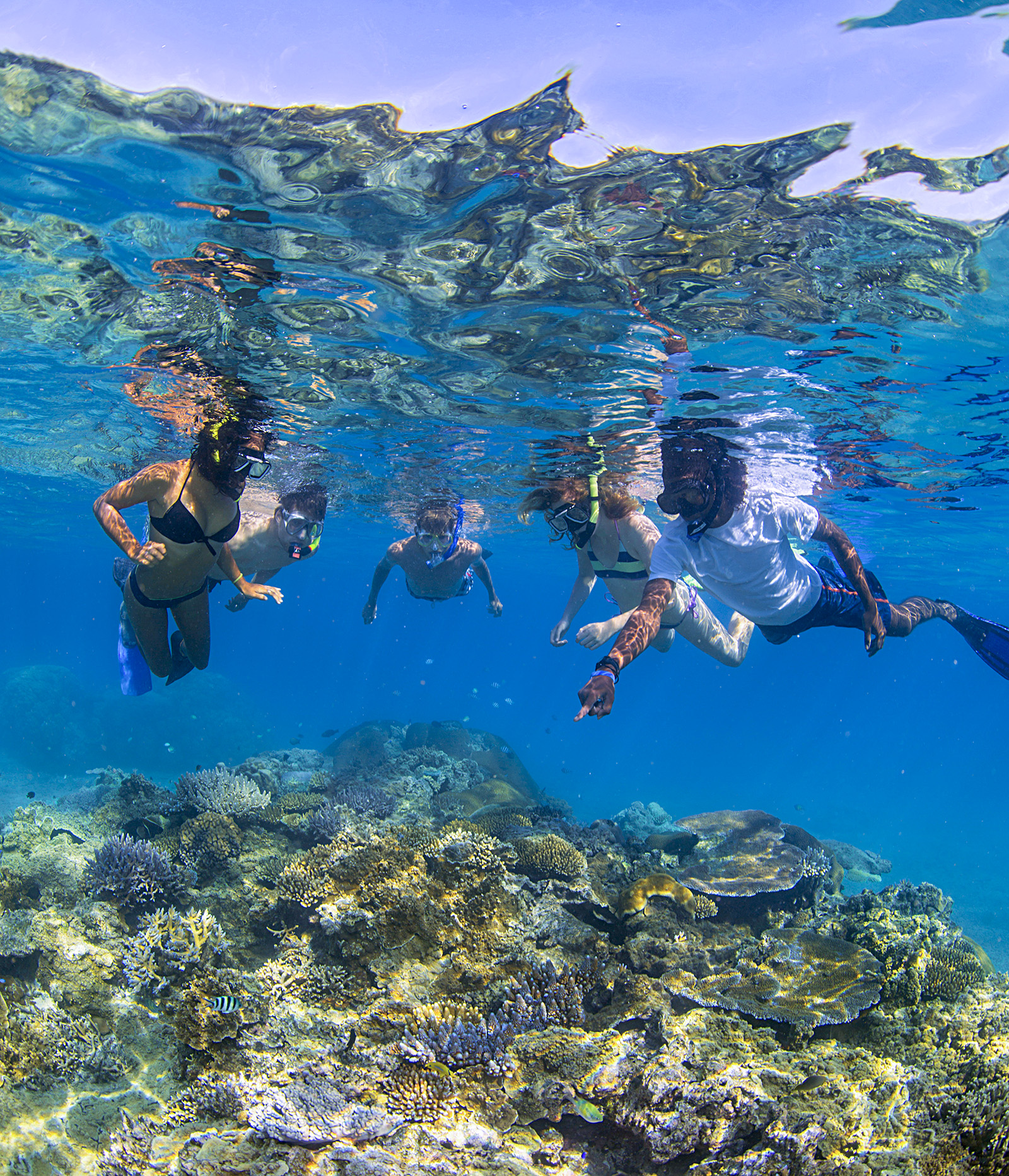 Reef Snorkelling | Awesome Adventures Fiji